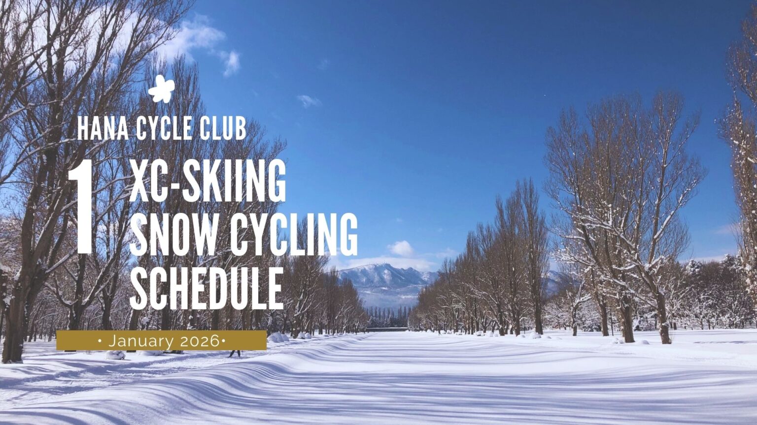 2026年1月のイベント・講習会＆1DAYスキーイング開催スケジュール | 花サイクルクラブ HANACYCLECLUB